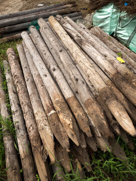 Pflock Bilder – Durchsuchen 5,049 Archivfotos, Vektorgrafiken und ...