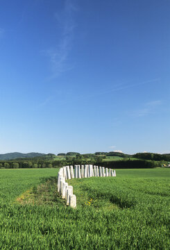 石碑 Images – Browse 6,178 Stock Photos, Vectors, and Video | Adobe Stock