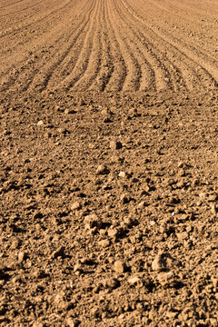 "Soil Background" bilder – Bläddra bland 982 stockfoton, vektorer och ...