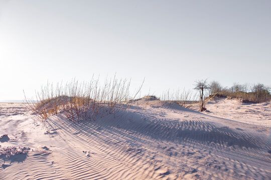 รูปภาพSand-Hill – เลือกดูภาพถ่ายสต็อก เวกเตอร์ และวิดีโอ912 | Adobe Stock