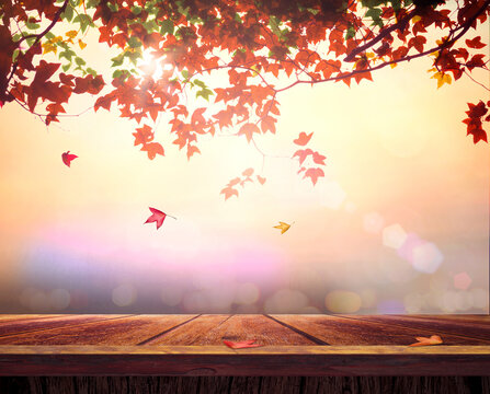 Early Fall Background Images – Browse 25,259 Stock Photos, Vectors, and ...