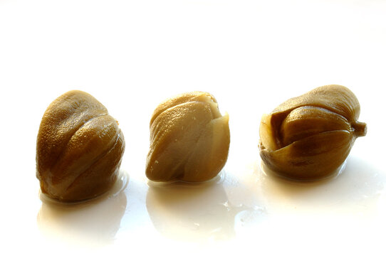 Kapers bilder – Bläddra bland 397 stockfoton, vektorer och videor ...