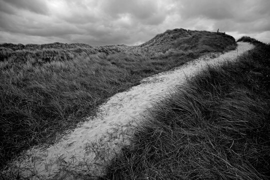 Weging bilder – Bläddra bland 2,608 stockfoton, vektorer och videor ...