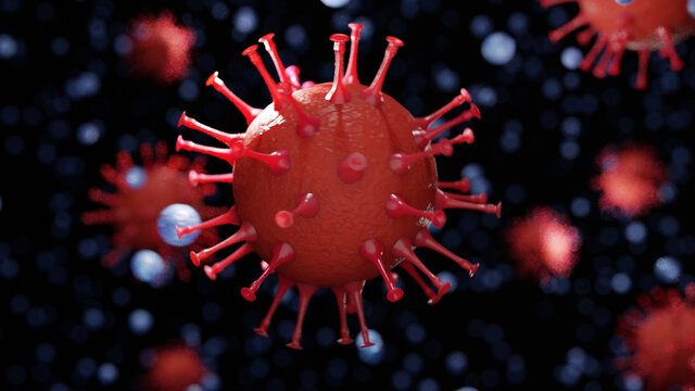 รูปภาพFomite – เลือกดูภาพถ่ายสต็อก เวกเตอร์ และวิดีโอ381 | Adobe Stock