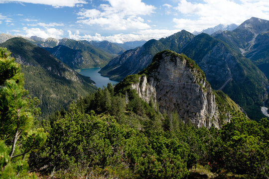 รูปภาพPlansee – เลือกดูภาพถ่ายสต็อก เวกเตอร์ และวิดีโอ2,899 | Adobe Stock