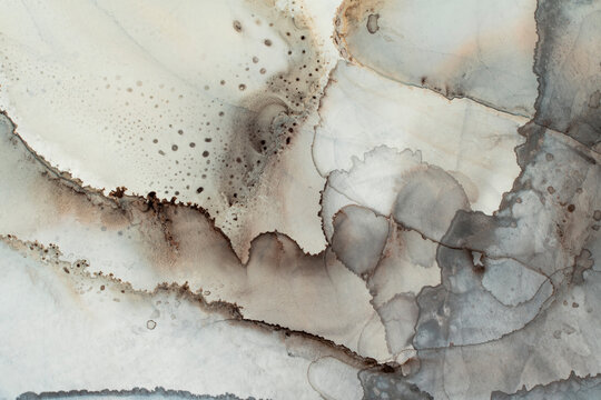 รูปภาพSubtly – เลือกดูภาพถ่ายสต็อก เวกเตอร์ และวิดีโอ746 | Adobe Stock