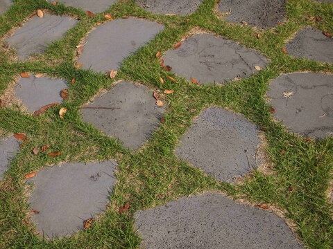 "Ground Pattern" Images – Browse 214 Stock Photos, Vectors, and Video ...