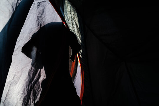 รูปภาพCaperuza – เลือกดูภาพถ่ายสต็อก เวกเตอร์ และวิดีโอ544 | Adobe Stock