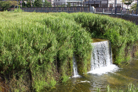 かわ Images – Browse 2,929 Stock Photos, Vectors, and Video | Adobe Stock