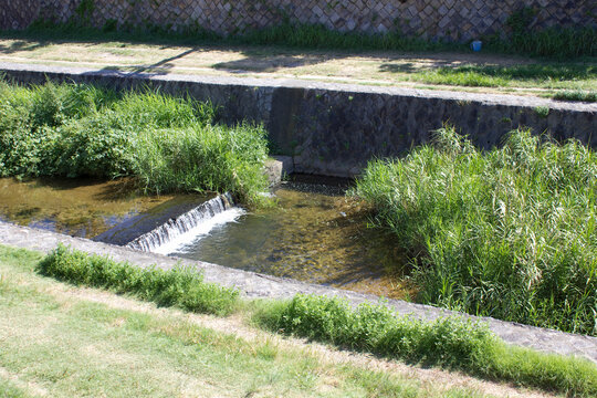 かわ Images – Browse 2,929 Stock Photos, Vectors, and Video | Adobe Stock