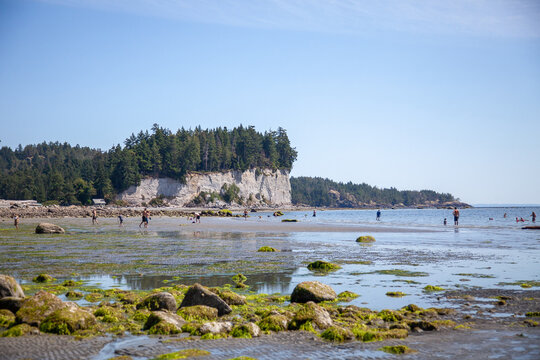 รูปภาพIsand – เลือกดูภาพถ่ายสต็อก เวกเตอร์ และวิดีโอ510 | Adobe Stock