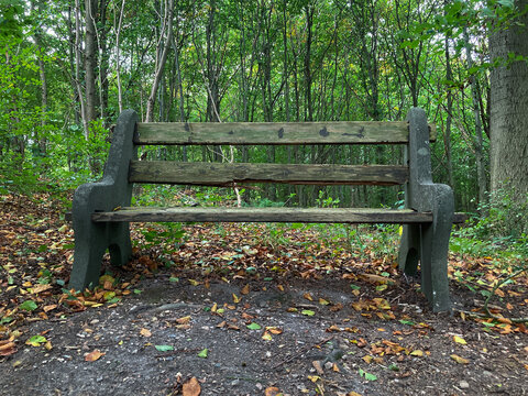 Old Park Bench