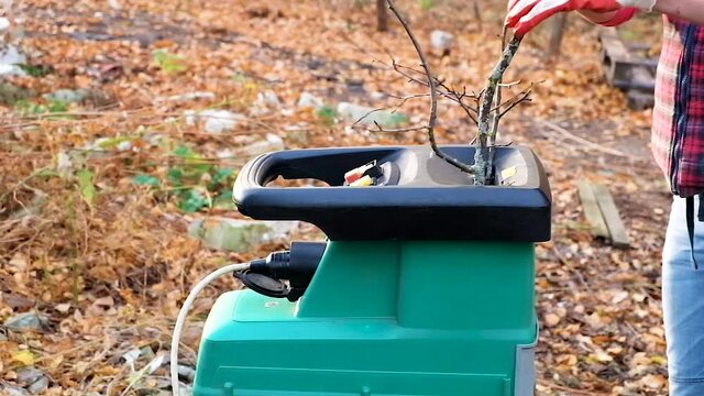 Chipper bilder – Bläddra bland 6,190 stockfoton, vektorer och videor ...