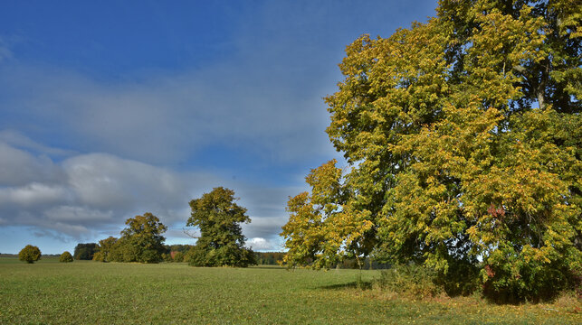Heufeld Bilder – Durchsuchen 124 Archivfotos, Vektorgrafiken und Videos ...