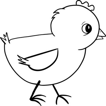 "Baby Chick" Bilder – Durchsuchen 1,402 Archivfotos, Vektorgrafiken und ...