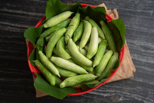 "Ivy Gourd" Images – Browse 2,184 Stock Photos, Vectors, and Video ...