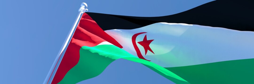 Imágenes de Rasd: descubre bancos de fotos, ilustraciones, vectores y ...