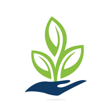 HaSnI photos, images, assets | Adobe Stock