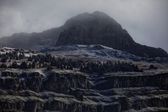 รูปภาพMaussade – เลือกดูภาพถ่ายสต็อก เวกเตอร์ และวิดีโอ411 | Adobe Stock