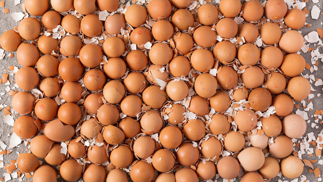 Egg Shell Texture Bilder – Durchsuchen 28,896 Archivfotos ...