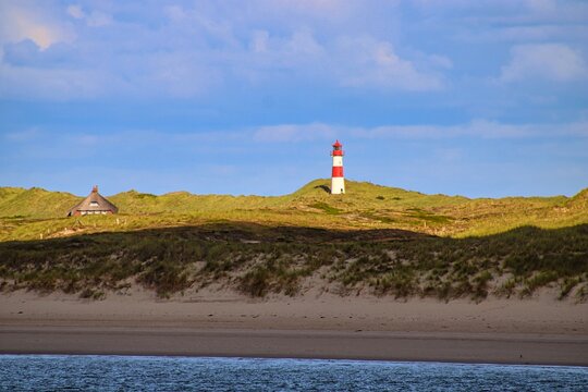 List-Ost bilder – Bläddra bland 102 stockfoton, vektorer och videor ...