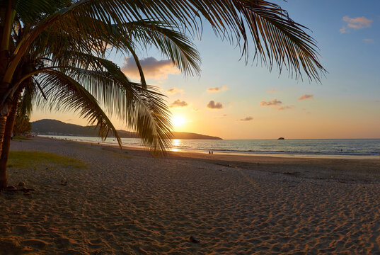 Palama Images – Browse 19 Stock Photos, Vectors, and Video | Adobe Stock