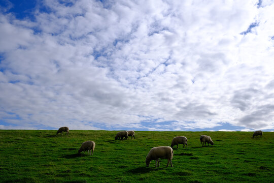 Himel Images – Parcourir 379 le catalogue de photos, vecteurs et vidéos ...
