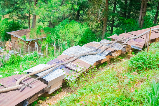 Chosa Images – Browse 31 Stock Photos, Vectors, and Video | Adobe Stock