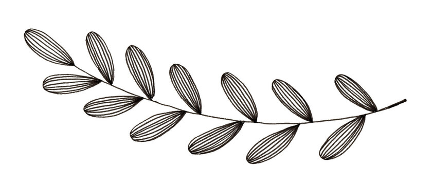 Simple Leaf Design