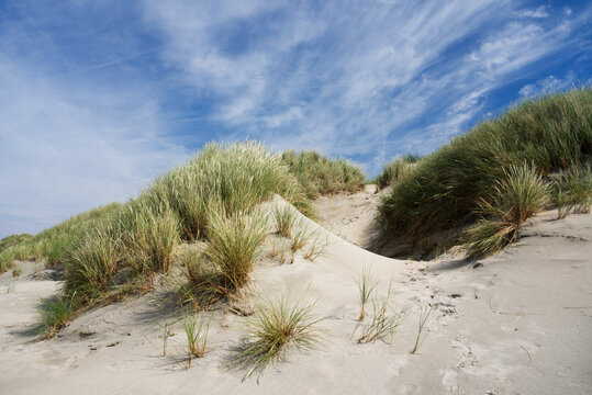 รูปภาพOstfriesisch – เลือกดูภาพถ่ายสต็อก เวกเตอร์ และวิดีโอ496 | Adobe ...