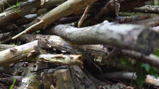 Untracked Images – Browse 3,166 Stock Photos, Vectors, and Video ...