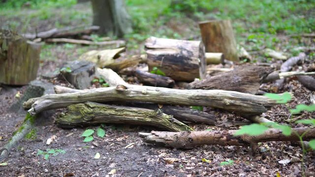 Trackless Images – Browse 3,140 Stock Photos, Vectors, and Video ...