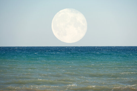 "White Moon" Bilder – Durchsuchen 470 Archivfotos, Vektorgrafiken und ...