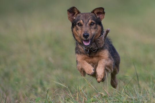 Reto photos, images, assets | Adobe Stock