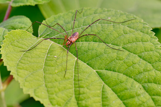 Haymaker Images – Parcourir 613 le catalogue de photos, vecteurs et ...