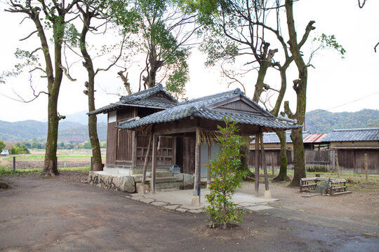 รูปภาพCatamite – เลือกดูภาพถ่ายสต็อก เวกเตอร์ และวิดีโอ1,098 | Adobe Stock