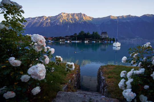 Brienzersee Bilder – Durchsuchen 3,128 Archivfotos, Vektorgrafiken und ...