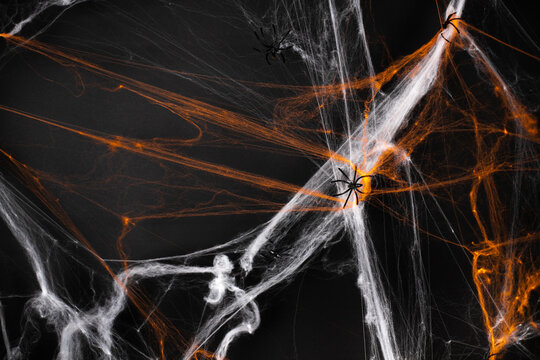 "Spiders Web" Imagens – Procure 3,588 fotos, vetores e vídeos | Adobe Stock