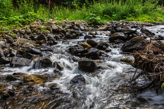 รูปภาพRuisseau – เลือกดูภาพถ่ายสต็อก เวกเตอร์ และวิดีโอ40,284 | Adobe Stock