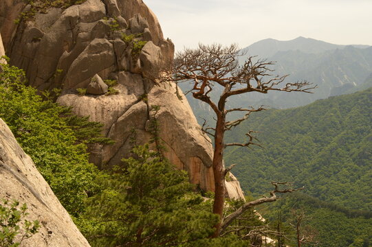รูปภาพTaebaek – เลือกดูภาพถ่ายสต็อก เวกเตอร์ และวิดีโอ970 | Adobe Stock