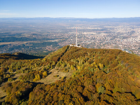 Kopitoto Bilder – Durchsuchen 828 Archivfotos, Vektorgrafiken und ...