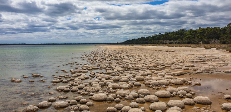 Thrombolite bilder – Bläddra bland 319 stockfoton, vektorer och videor ...