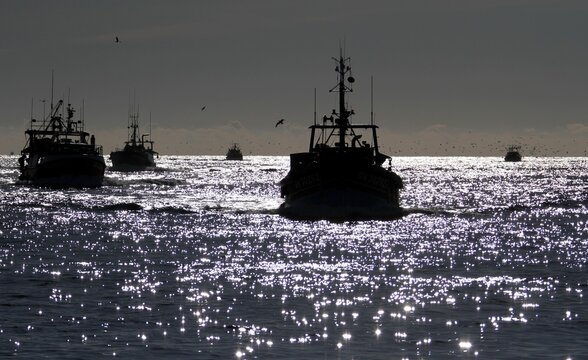 Pris Bilder – Durchsuchen 649 Archivfotos, Vektorgrafiken und Videos ...