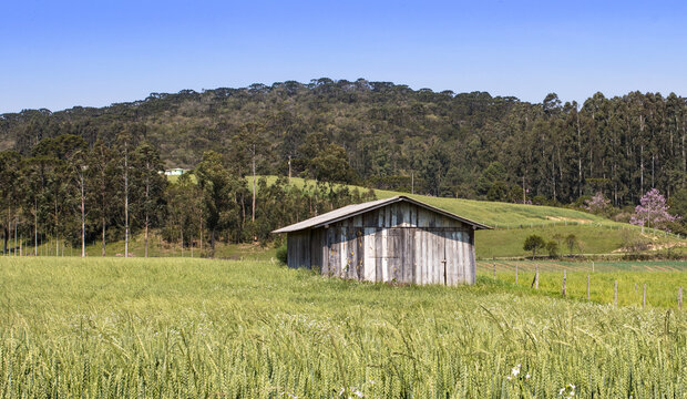 Imágenes de Barraco: descubre bancos de fotos, ilustraciones, vectores ...