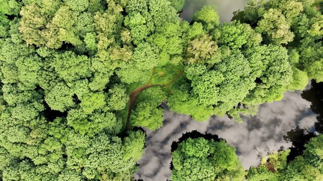 Imagens de Pand – Explore Fotografias do Stock, Vetores e Vídeos de 336 ...