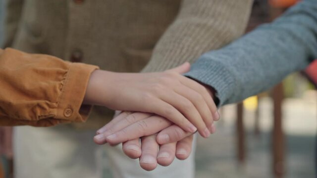 Handstack Images – Browse 194 Stock Photos, Vectors, and Video | Adobe Stock