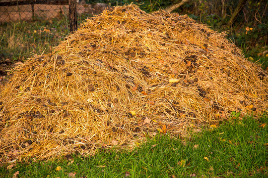 "Dung Heap"-Bilder: Stock-Fotos & -Videos. | Adobe Stock
