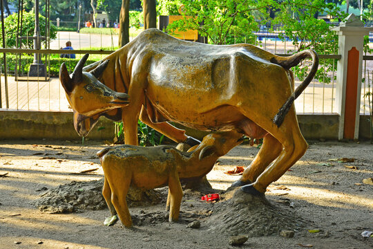 รูปภาพTamaraw – เลือกดูภาพถ่ายสต็อก เวกเตอร์ และวิดีโอ157 | Adobe Stock