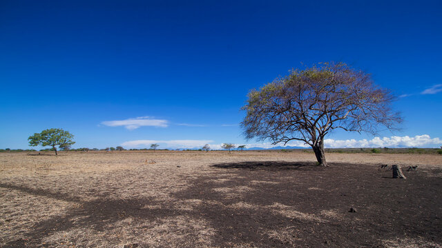 Taman Nasional Baluran