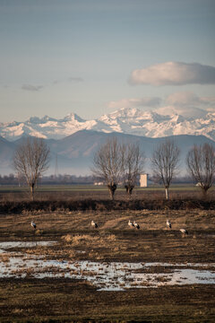 Cozie 이미지 – 찾아보기 639 스톡 사진, 벡터 및 비디오 | Adobe Stock